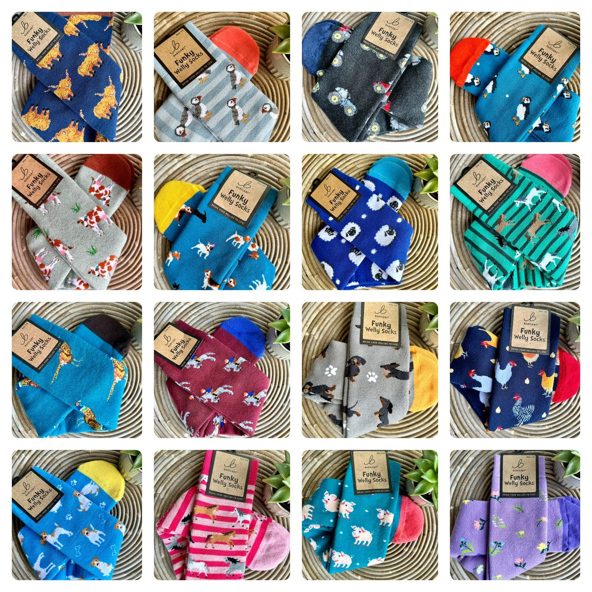 Bartleby’s Soft Cotton Welly Socks , Funky Novelty Designs – luscious ...
